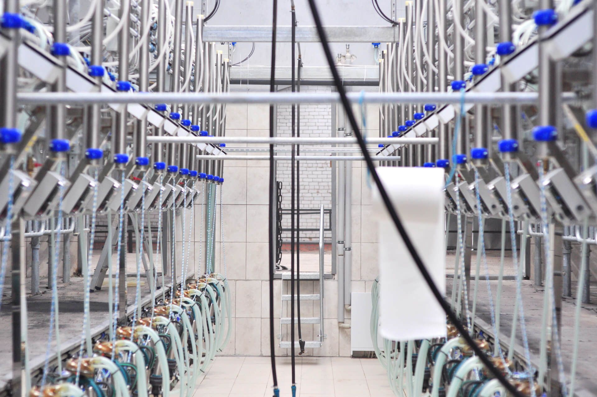 Конструктор доильного зала